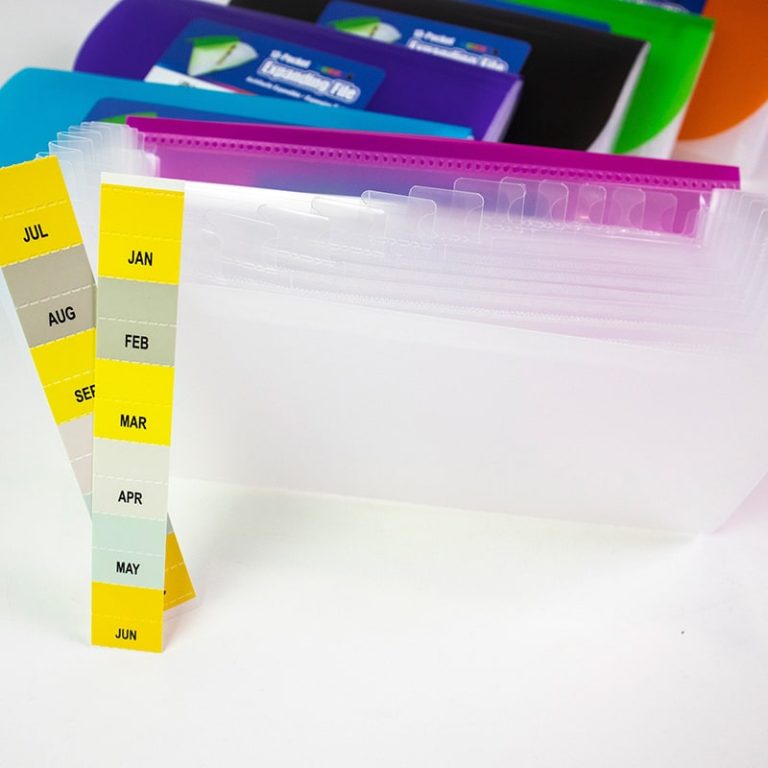 13-Pocket Check Size Poly Expanding File - The CEO Creative