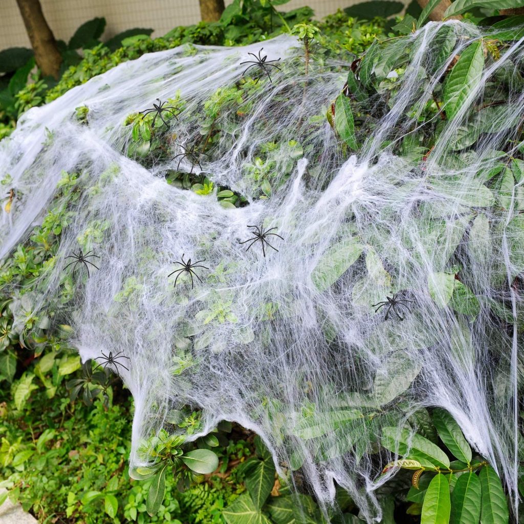 Stretch Spider Web With 25 Fake Spiders - The CEO Creative
