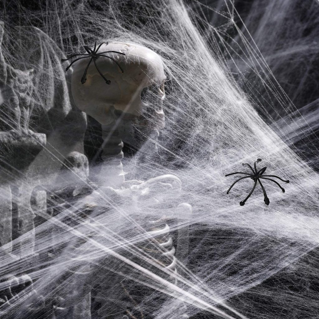 Stretch Spider Web With 25 Fake Spiders - The CEO Creative